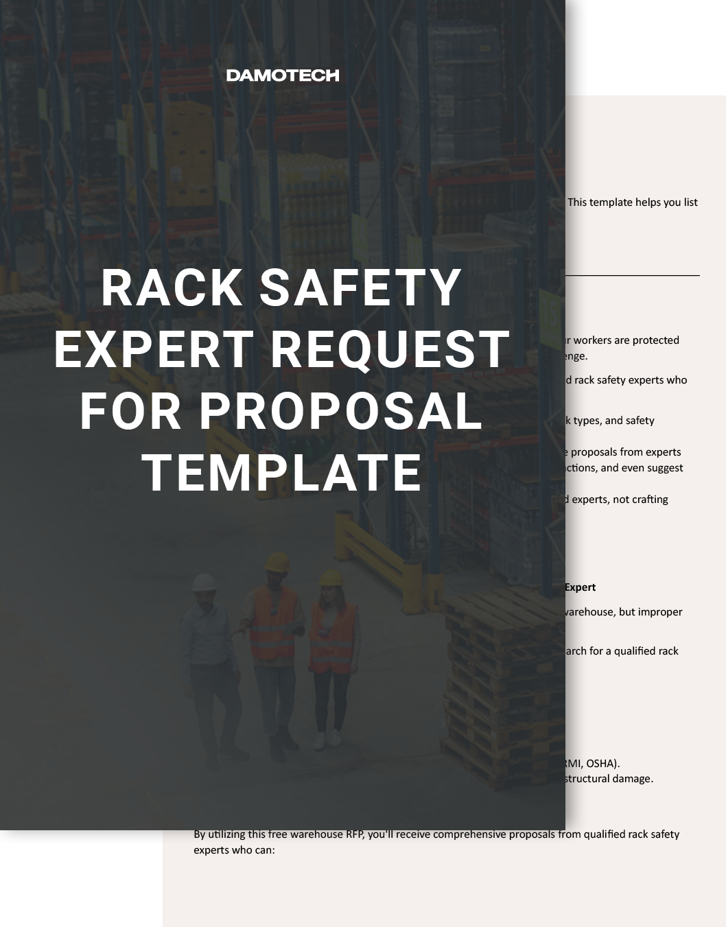 Rack Safety Expert Request for Proposal Template | Damotech