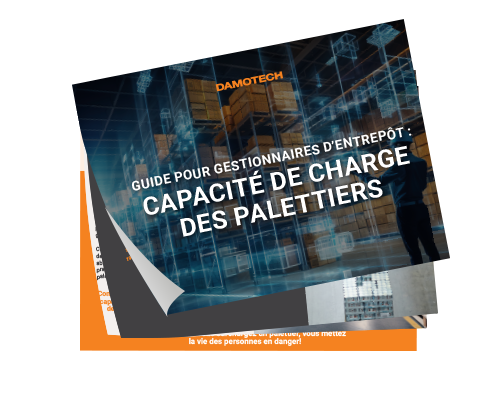 Guide sur la capacité de charge des palettiers | Damotech
